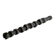 Buy CAMSHAFT 1.4 1.5 1.6 HDI TDCI DIESEL ENGINE CITROËN, FIAT, FORD ...